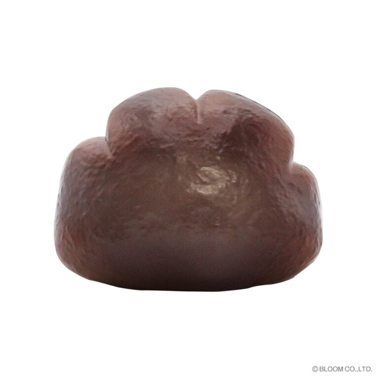 IBloom x Squishy Japan - Cream Bread - Chocolate Creambread - Squishy Japan